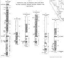 Geophysical services for the identification and exploration of natural ...