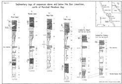 Geophysical services for the identification and exploration of natural ...